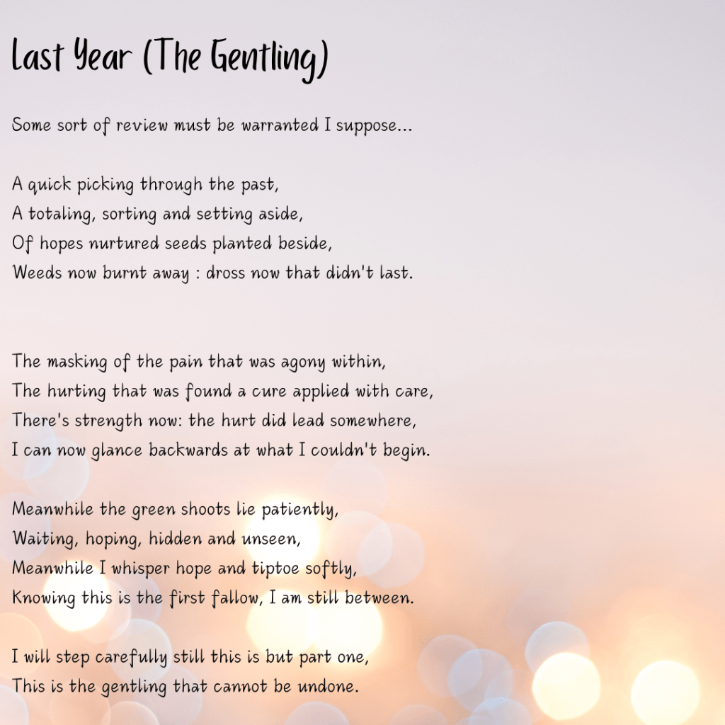Last Year (The Gentling) – Andrew James Whalan